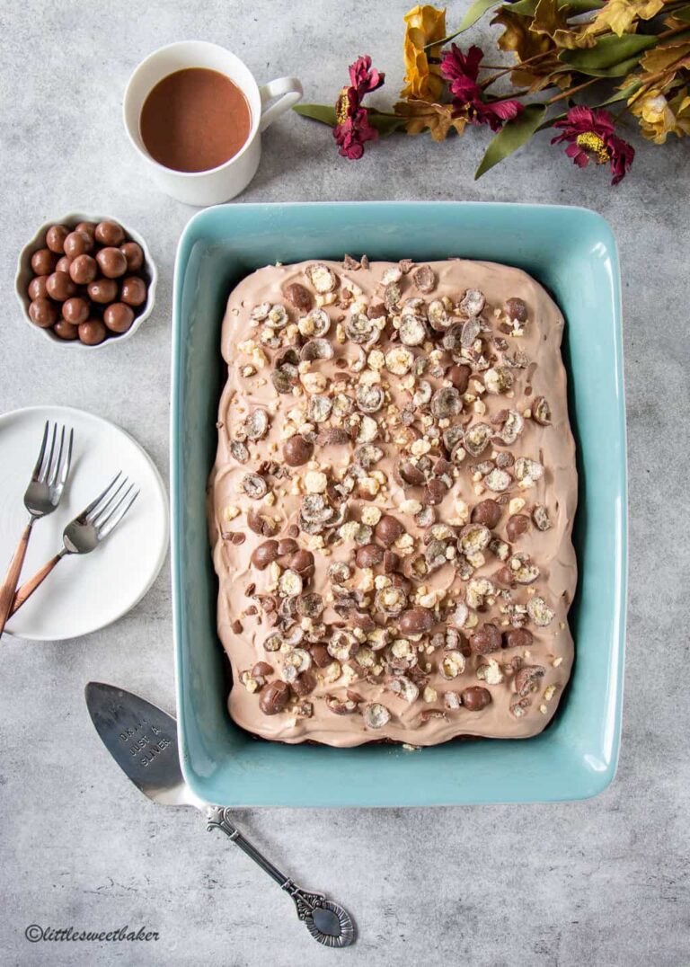 Chocolate Malt Cake - Little Sweet Baker