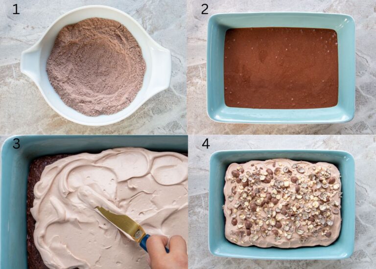 Chocolate Malt Cake - Little Sweet Baker