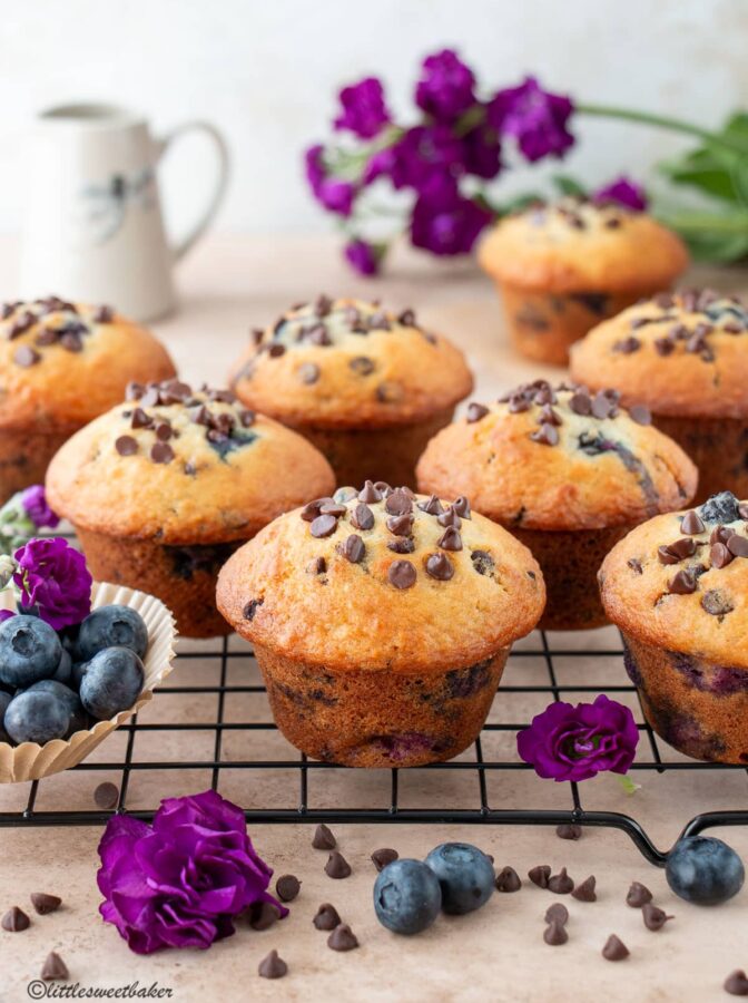 Bakery-Style Lemon Muffins - Little Sweet Baker